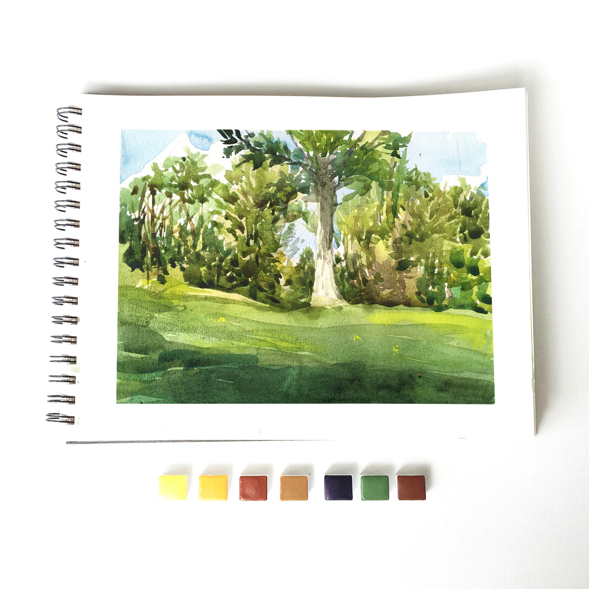 Green Plein Air Set 4.0 - Nature Palette - 16 Colors – poemsaboutyou